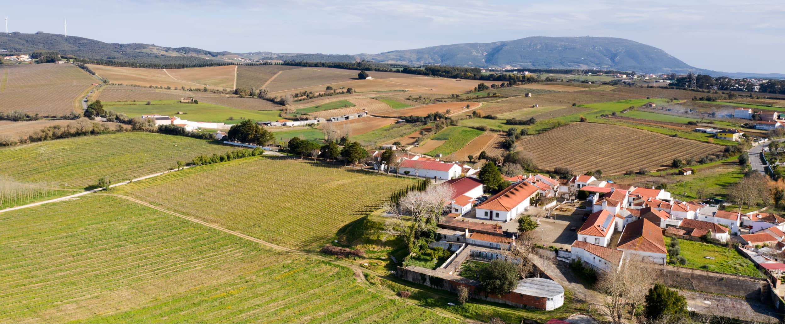 Quinta do Monte d'Oiro Reserva Red - Crafted Wine&Spirits